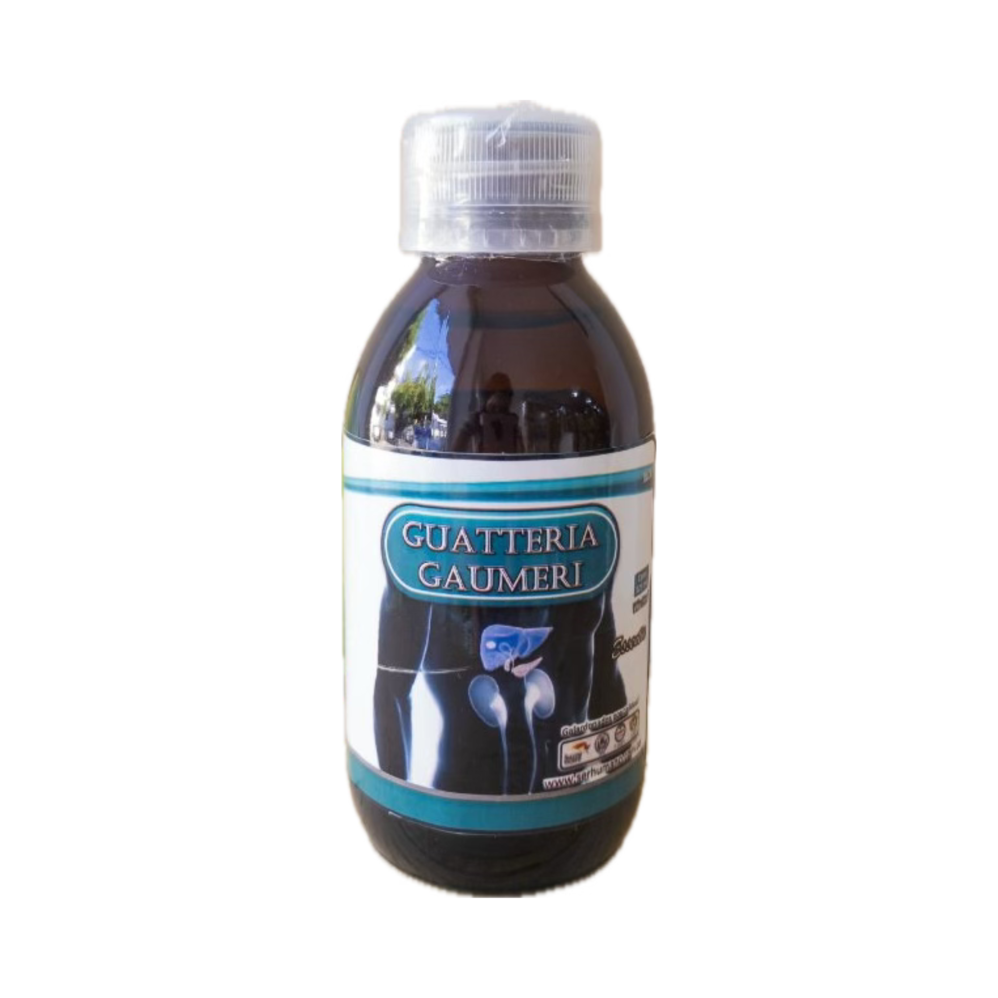 GUATTERIA GAUMERI – Tienda Neem
